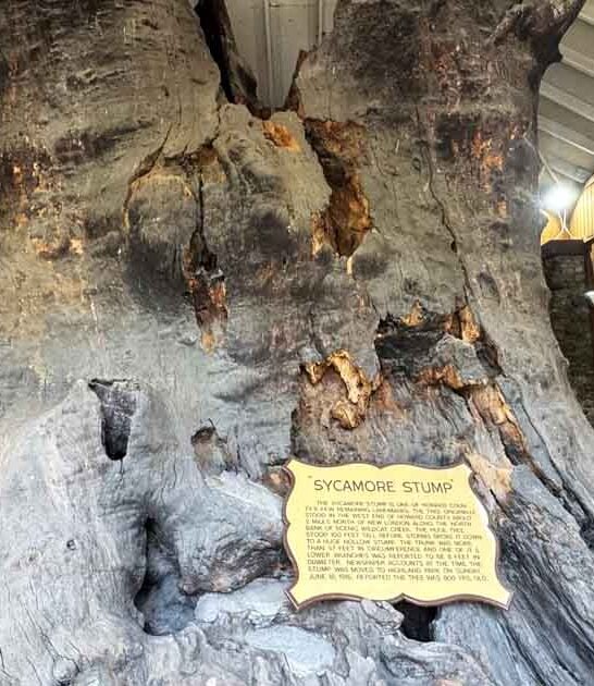 indiana strangest roadside attractions ftr