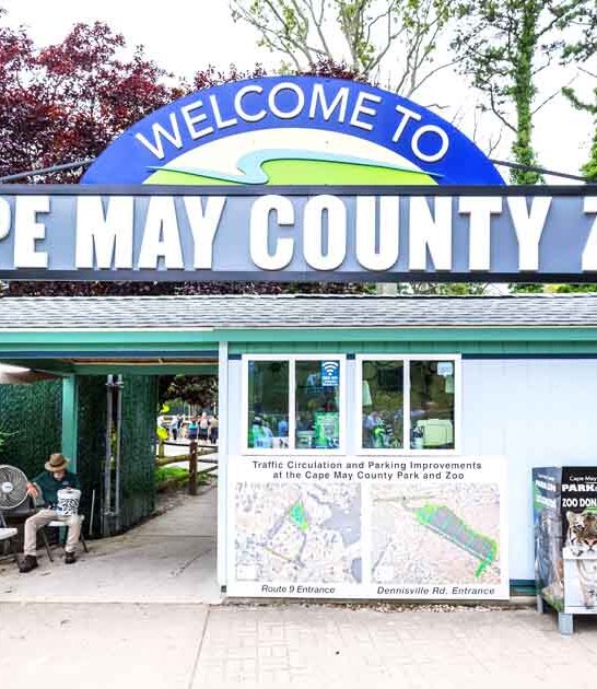 inexpensive new jersey destinations ftr