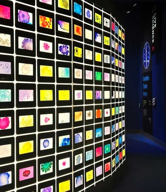 interactive exhibit new jersey ftr