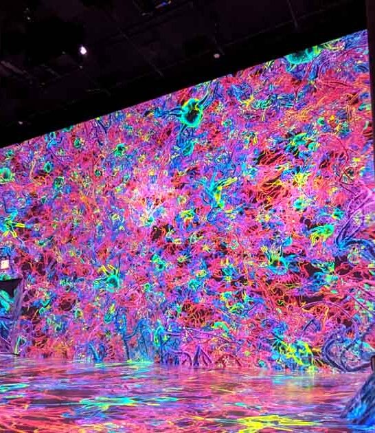 interactive exhibit new york ftr