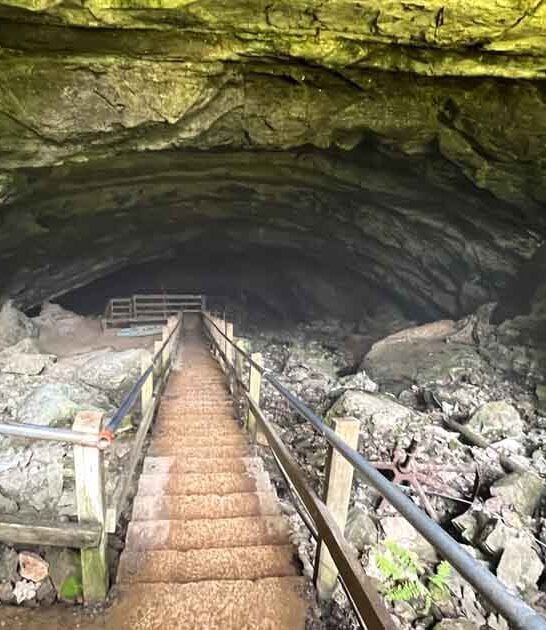 kentucky blind cave creatures ftr