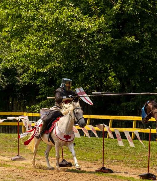 kentucky charming renaissance festival ftr