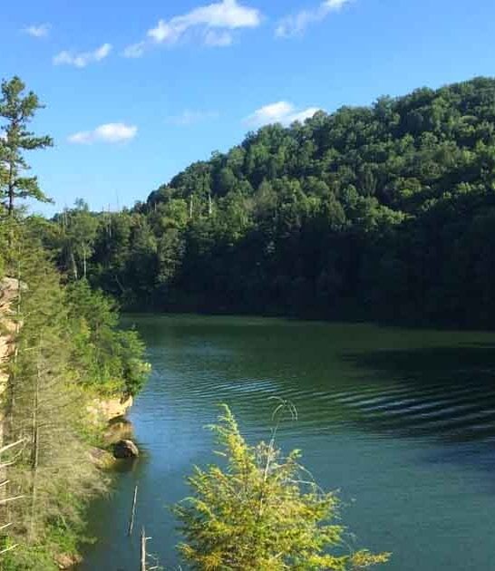 kentucky dreamy outdoor park ftr