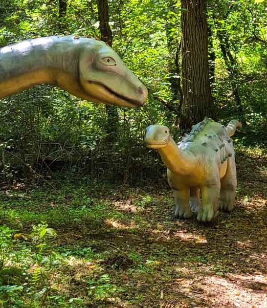 kentucky outdoor dinosaur museum ftr