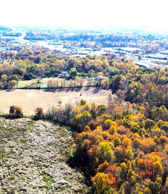 kentucky town famous chicken ftr
