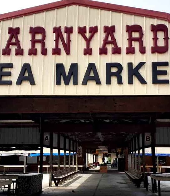 legendary south carolina markets ftr