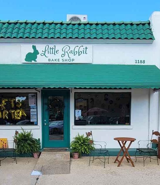 little bakeshop georgia macarons ftr