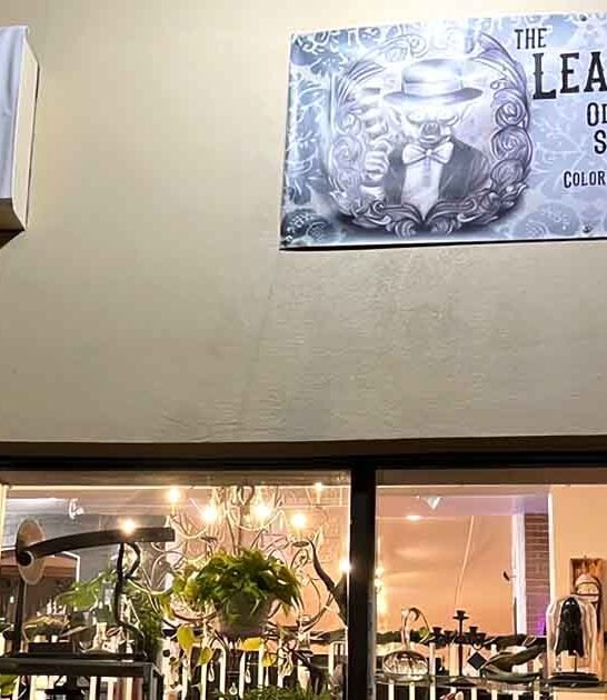 little curiosity shop colorado ftr