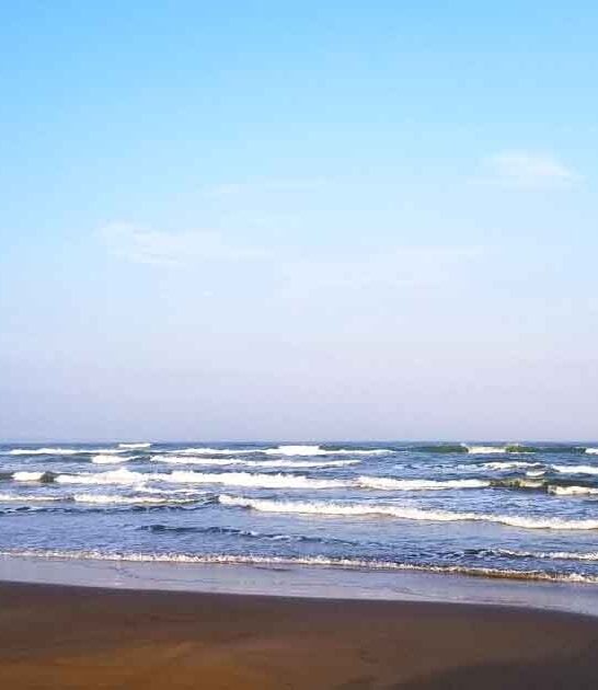 little known gems texas ftr