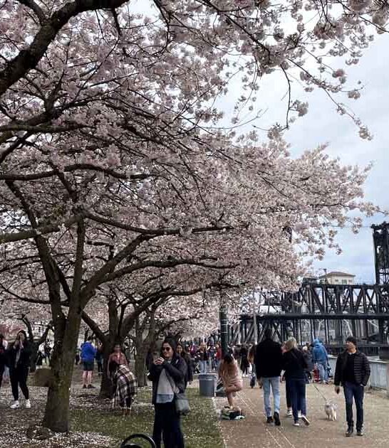 little known trail oregon ftr