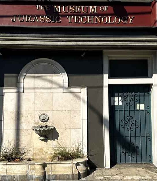 lived california tried activities ftr