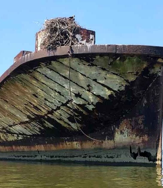 lived maryland activities tried ftr