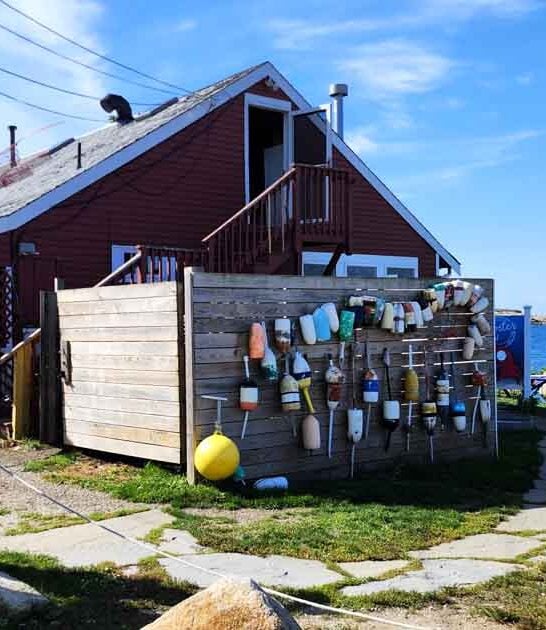 lobster seafood shack massachusetts ftr