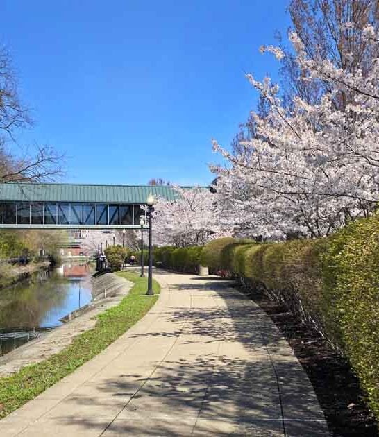 locals breathtaking park ohio ftr