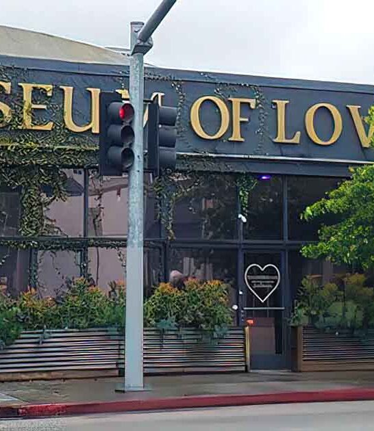 love museum california ftr