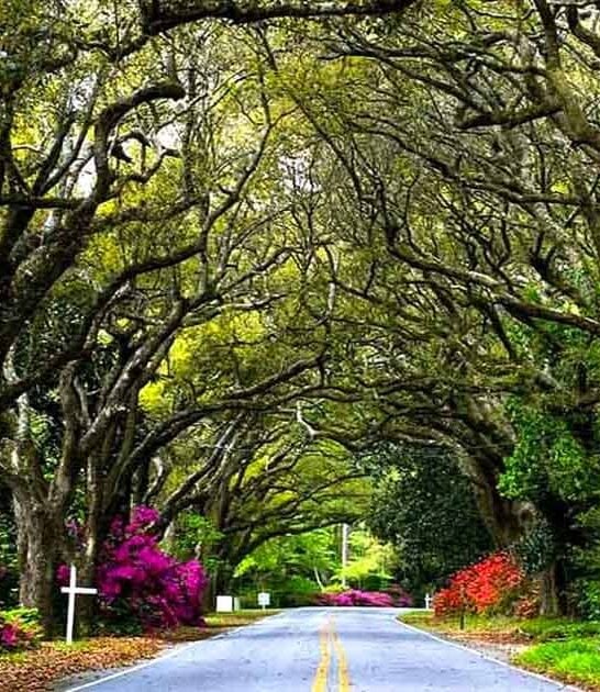 magical alabama spots fairytales ftr