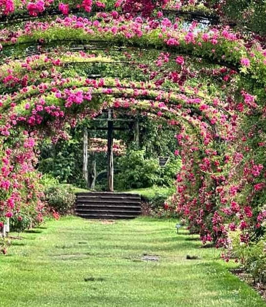 magical botanical garden connecticut ftr