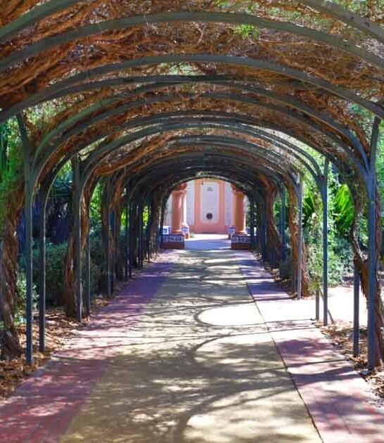 magical california botanical garden ftr