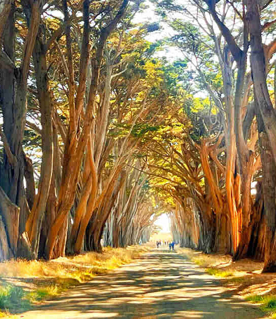 magical california spots fairytales ftr