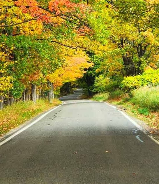 magical drive michigan hidden ftr