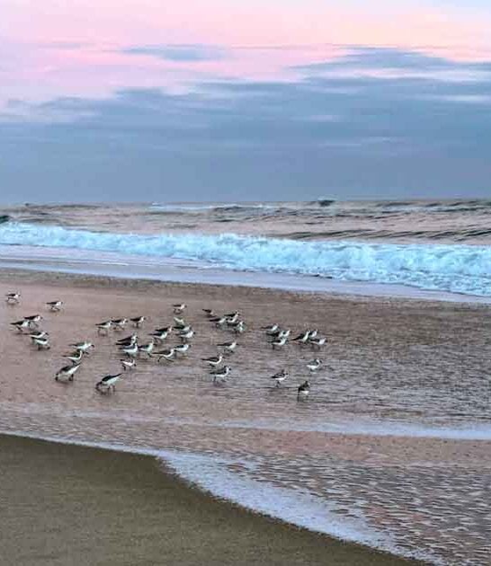 magical florida spots fairytales ftr