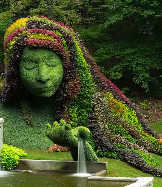 magical georgia botanical garden ftr