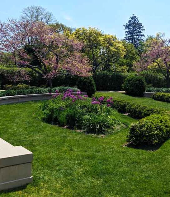 magical illinois spots ftr