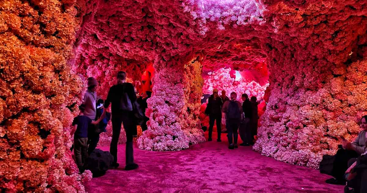 You Need To Visit This Magical New York Art Museum Before Everyone ...