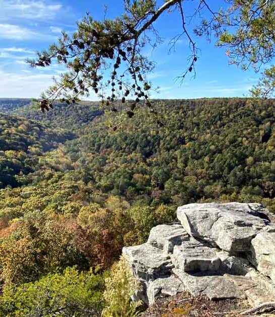 magical nature park alabama ftr