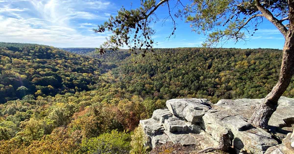 You've Never Experienced Alabama Quite Like This At This Stunning State ...