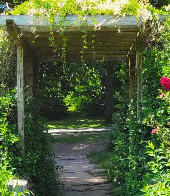 magical new jersey garden ftr