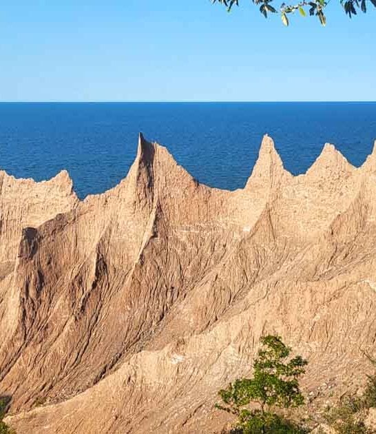 magical park new york ftr