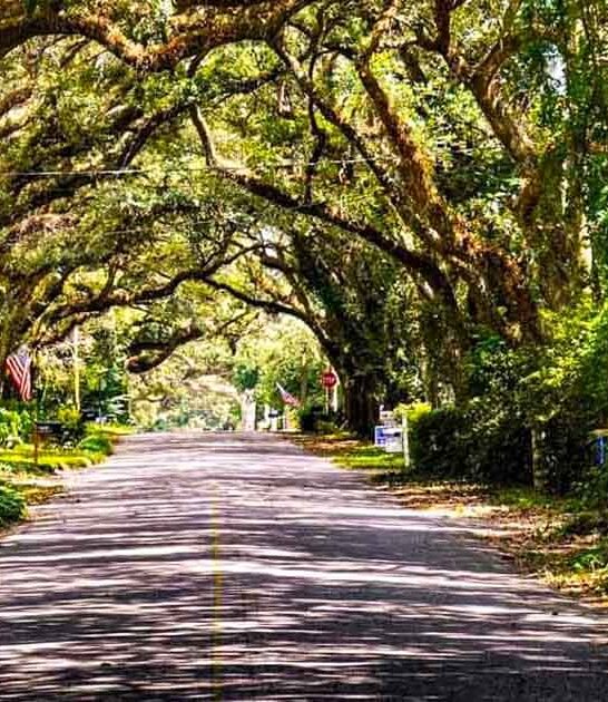 magical places alabama storybook ftr