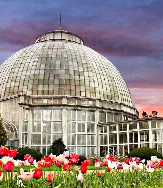 magical places michigan adventures ftr