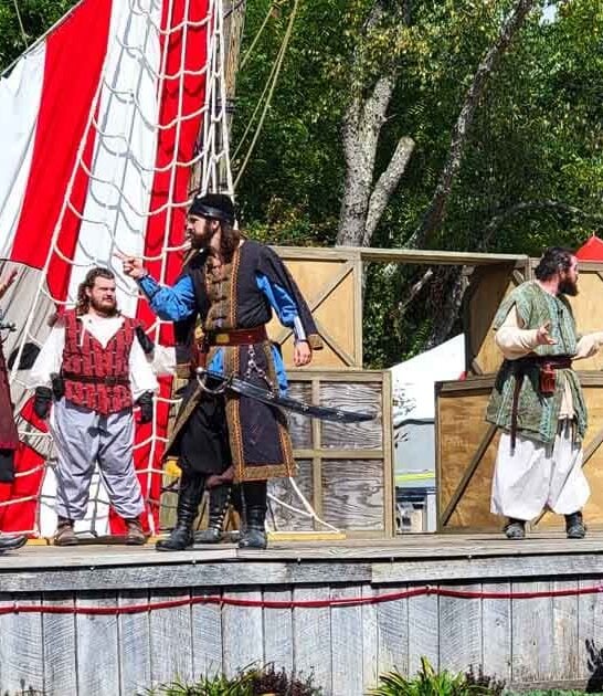 magical renaissance festival ohio ftr