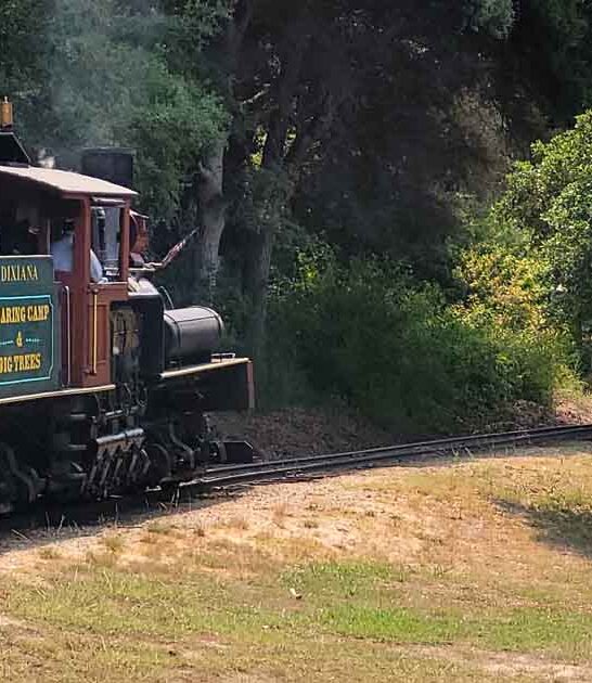 magical train ride california ftr