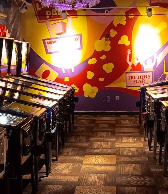 magical virginia pinball museum ftr