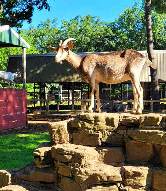 magical wisconsin spots fairytales ftr