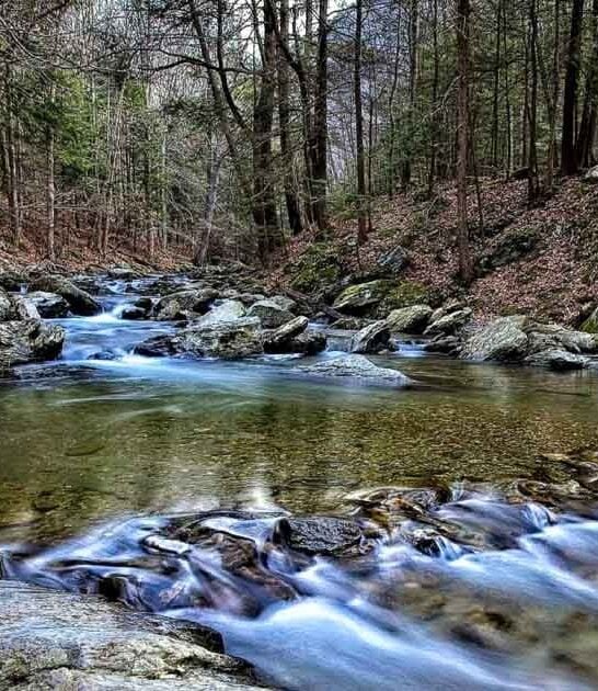 magnificent massachusetts state park ftr