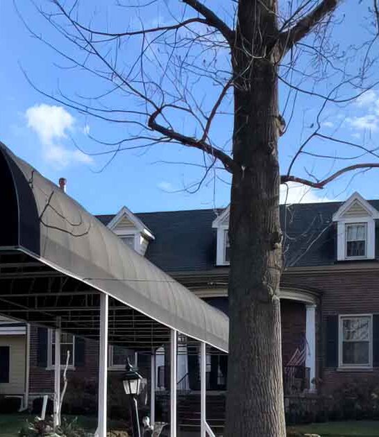 manor house kentucky restaurant ftr