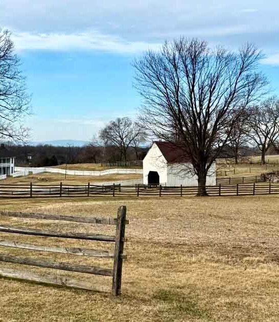 maryland creepy serious spots ftr