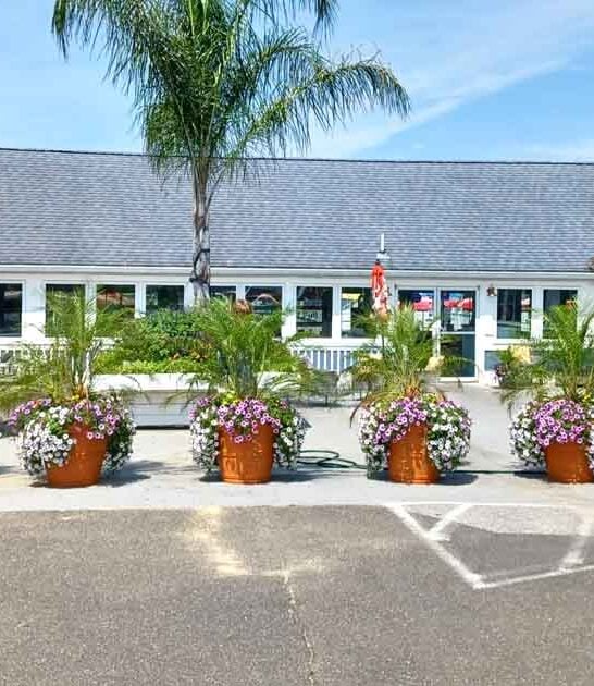 maryland dock dine restaurant ftr