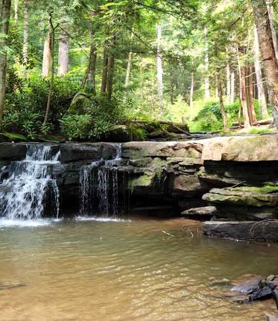 maryland dreamy state park ftr