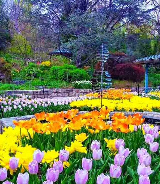maryland enchanting botanical garden ftr