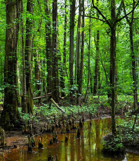 maryland enchanting places ftr