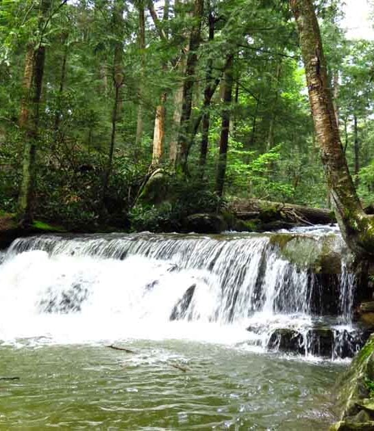 maryland enchanting unbelievable park ftr