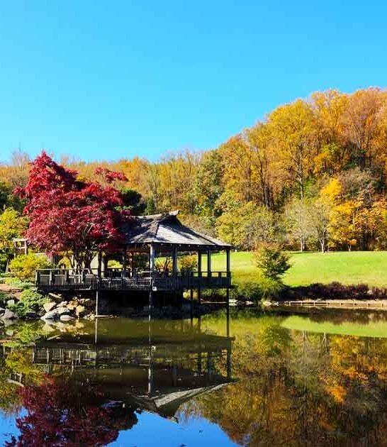 maryland hidden botanical garden ftr