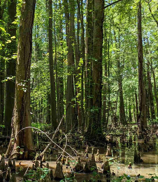 maryland magical spots ftr