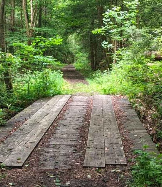 maryland state park awesome ftr