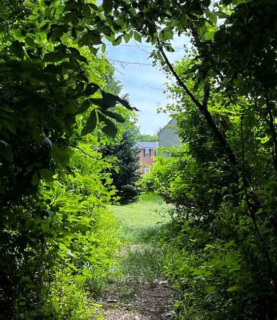 maryland state park village ftr